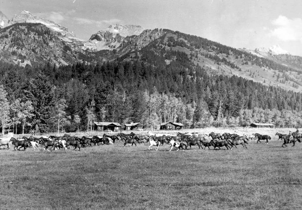 4_The Landscape - History Jackson Hole